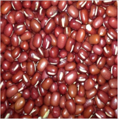 Red Chori (Laal Faliyan) – East India Pantry